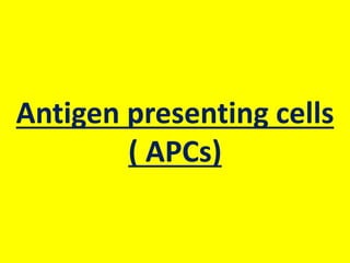 Antigen Presenting cells(APCs) | PPTX