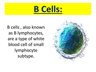Antigen Presenting cells(APCs) | PPTX