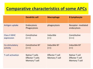 Antigen Presenting cells(APCs) | PPTX