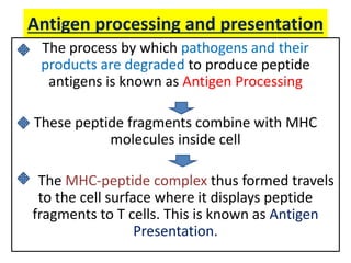 Antigen Presenting cells(APCs) | PPTX