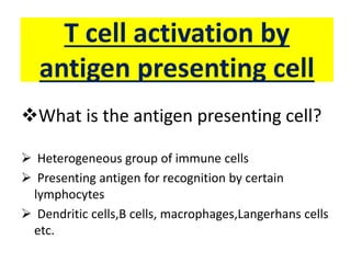 Antigen Presenting cells(APCs) | PPTX