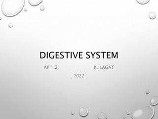 AP DIGESTIVE SYSTEM-1.ppt Alimentary organ | PPT