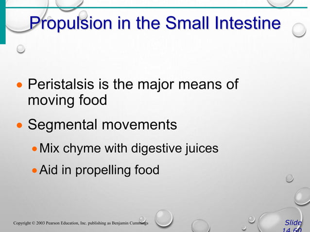 AP DIGESTIVE SYSTEM-1.ppt Alimentary organ | PPT
