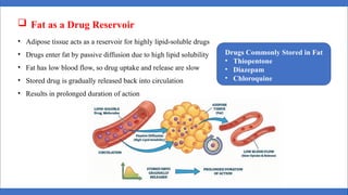Drug Distribution Explained | Pharmacokinetics, Barriers, Vd ...
