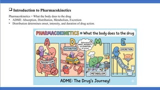 Drug Distribution Explained | Pharmacokinetics, Barriers, Vd ...