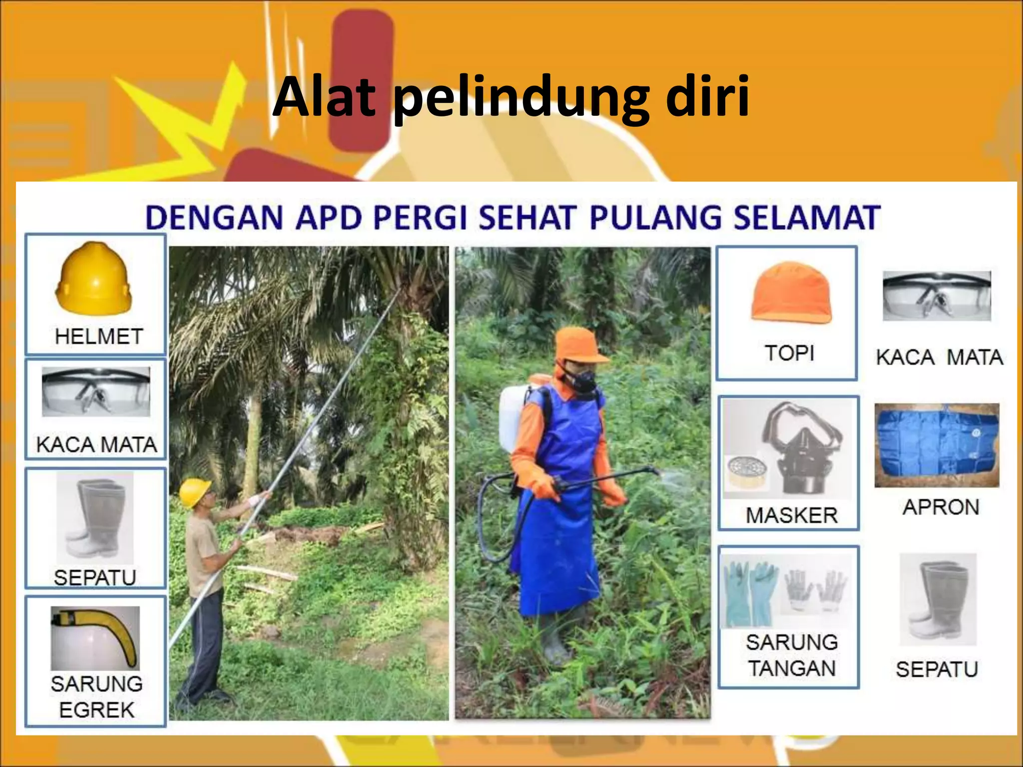 APD kebun.pdf