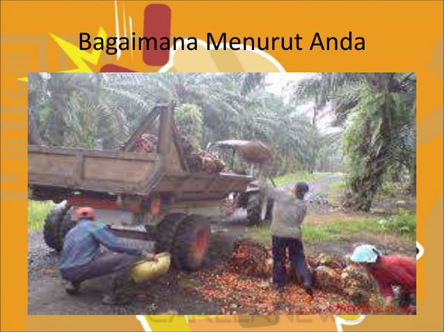 APD kebun.pdf