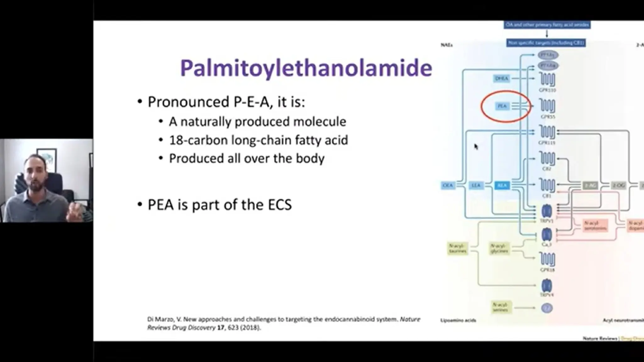 PEA efficacy trial safety and compassion with other cannabinoids | PPTX