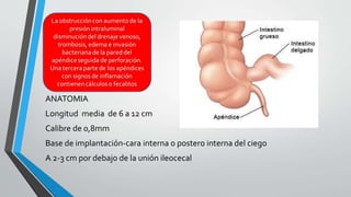apecitis.pptx