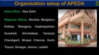 APEDA.pptx