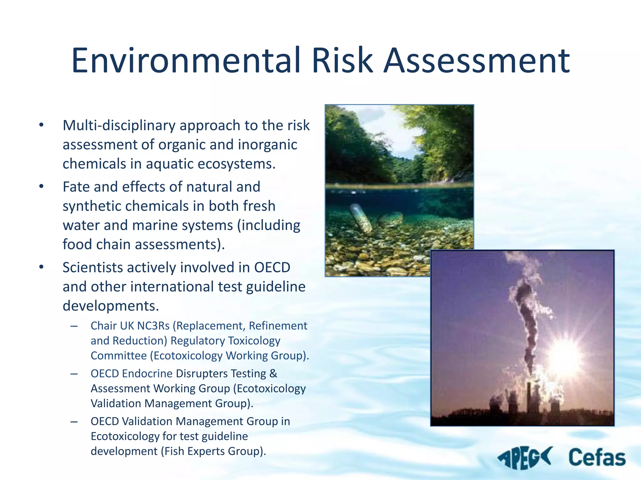 Chemical Risk Assessment - APEG | PDF