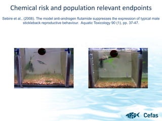 Chemical Risk Assessment - APEG | PDF
