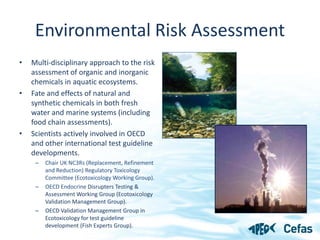 Chemical Risk Assessment - APEG | PDF