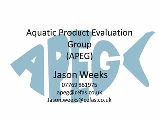 Overview of APEG services and products | PDF
