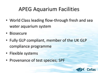 Overview of APEG services and products | PDF