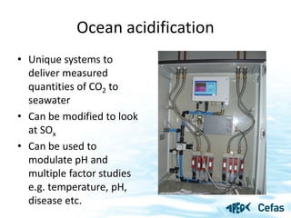 Overview of APEG services and products | PDF