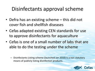 Overview of APEG services and products | PDF