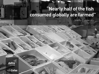 Overview of APEG services and products | PDF