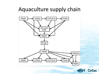 Overview of APEG services and products | PDF