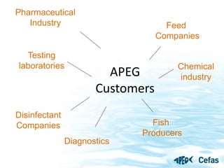 Overview of APEG services and products | PDF