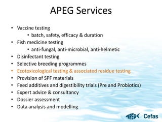 Overview of APEG services and products | PDF