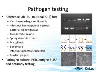 Pathogen Management Modelling - APEG | PDF | Infectious Diseases ...