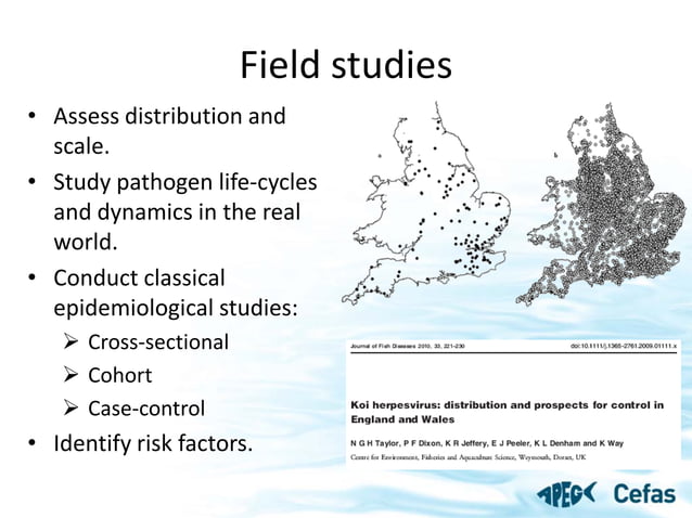 Pathogen Management Modelling - APEG | PDF | Infectious Diseases ...