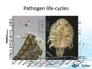Pathogen Management Modelling - APEG | PDF | Infectious Diseases ...