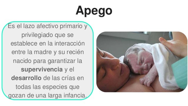 Apego y-estimulación-temprana-del-recién-nacido-1