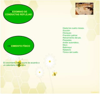 Apego en ppt | PPTX