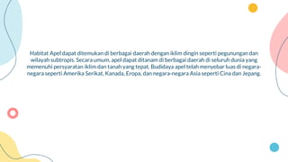 Apel dan ceri botani tumbuhan tinggi.pptx