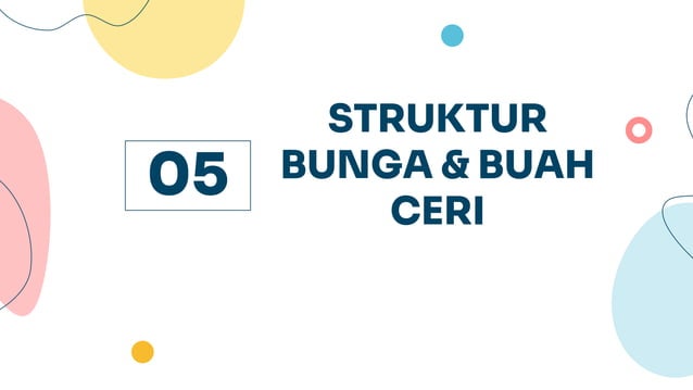 Apel dan ceri botani tumbuhan tinggi.pptx