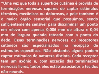 A pele é o sentido do tato | PPT