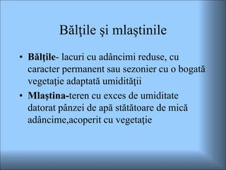 clasificarea apelor Apele stătătoare.ppt