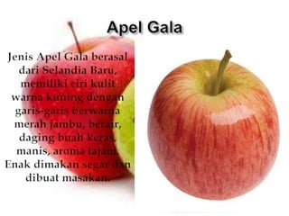 Apel granny smith dan apel gala | PPTX