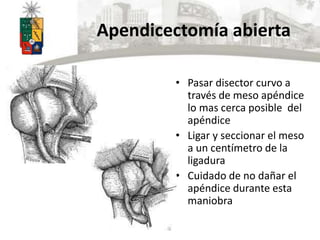 Apendicectomía abierta y vlp | PPTX