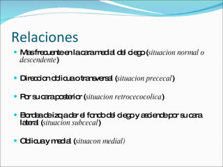 Apendicitis | PPT