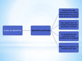Apendicitis | PPTX
