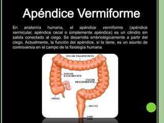 Apendicitis | PPTX