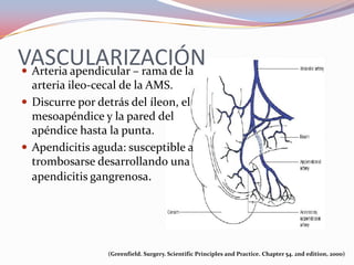 Apendicitis | PPTX