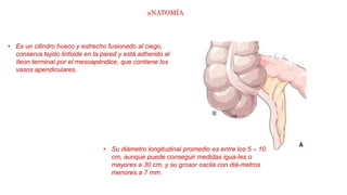 Apendicitis.pptx