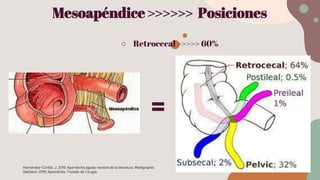 APENDICITIS aguda por médico cirujano pptx | PPTX