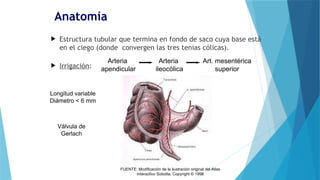 Apendicitis aguda y patologia apendicular | PPTX