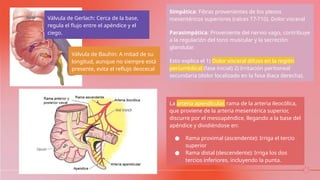 exposicionn de apendicitis aaguda ppt medicina | PPTX