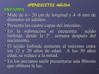 APENDICITIS AGUDA | PPT