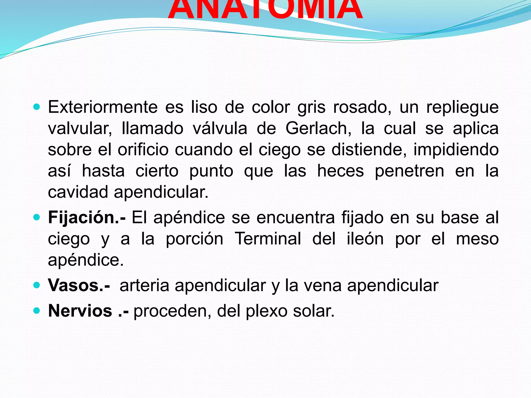Apendicitis Cirugía Abdomen | PPTX