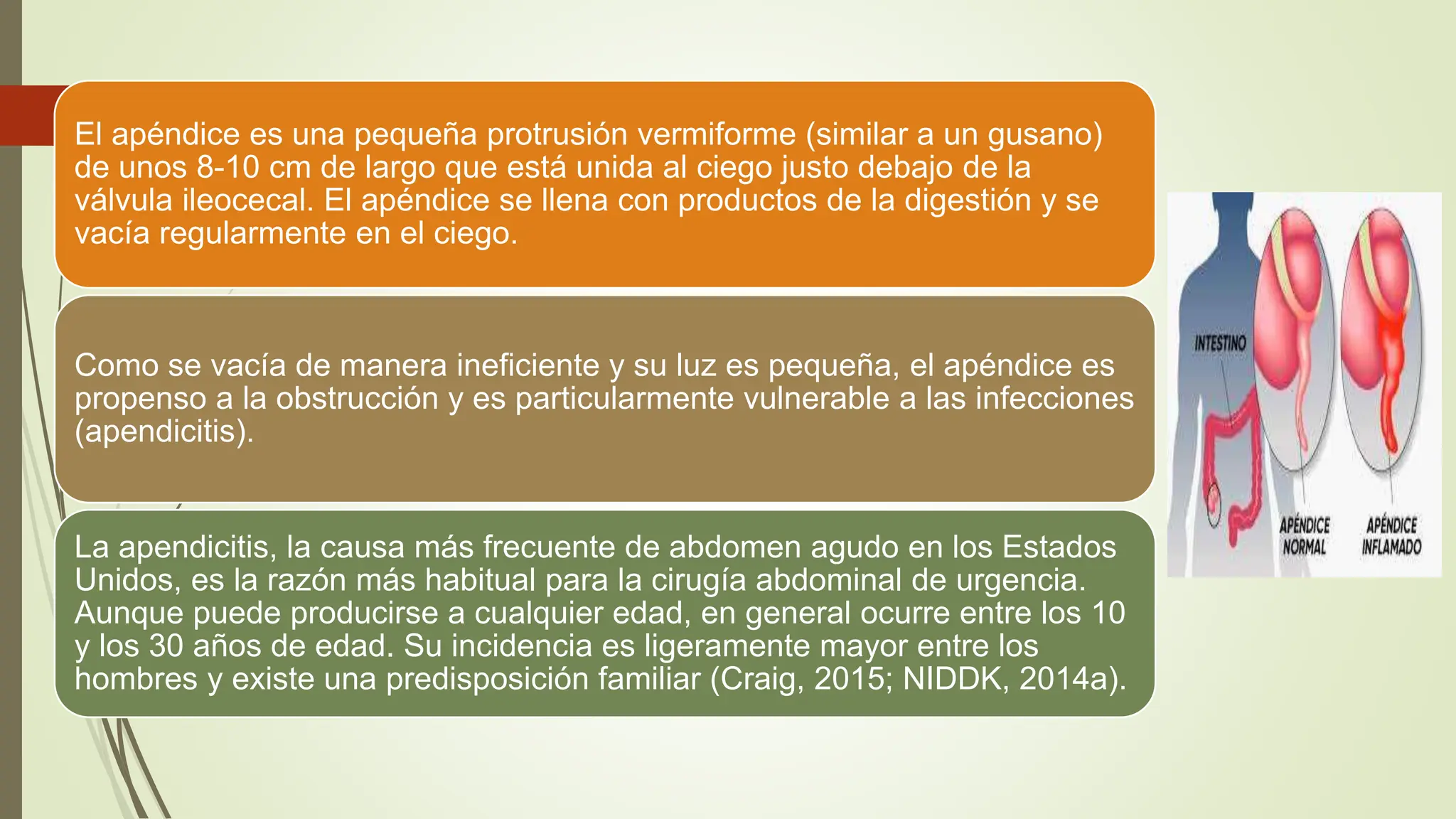 Apendicitis-SEP.pptx