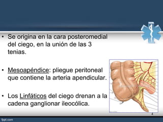 Apendicitis aguda | PPT