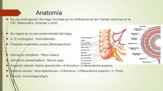 Apendicitis aguda.pptx