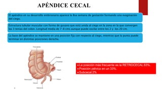 apendicitis aguda.pptx